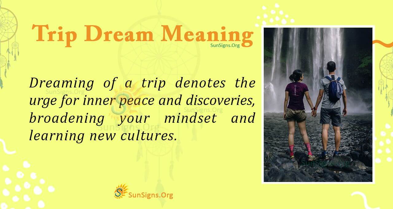 What Is The Meaning Of A Trip Dream? - Interpretation And Symbolism ...