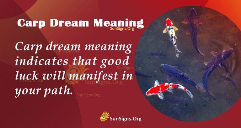 Sun Signs, Astrology And Everything Else You Will Love - SunSigns.Org